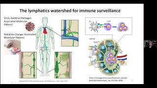 Restoring Lymphatic Function: Imaging Tells the Story | Tactile Medical