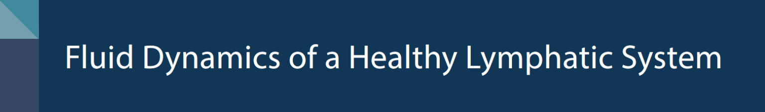 Fluid Dynamics of a Healthy Lymphatic System - Tactile Medical