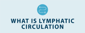 Lymphatic Circulation: How Does the Lymphatic System Work? - Tactile ...