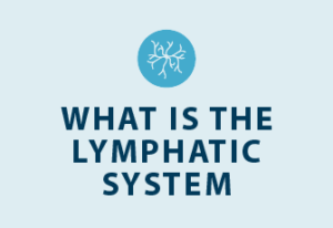 The Lymphatic System: Functions, Purpose, Problems & More - Tactile Medical